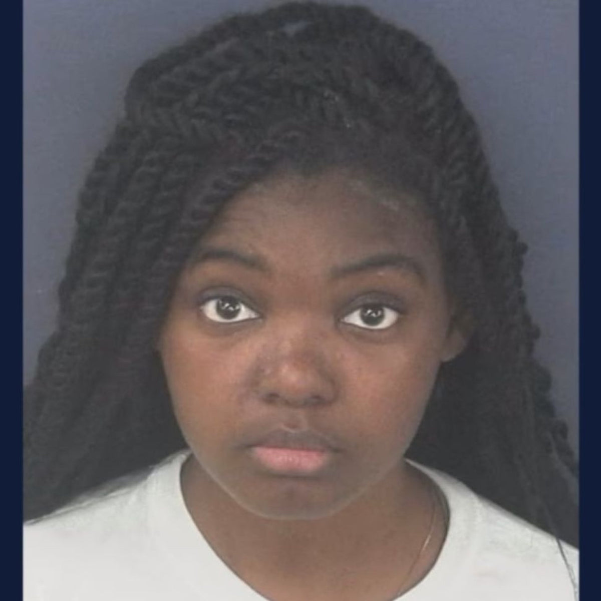 Florida teacher charged for letting students fight in class